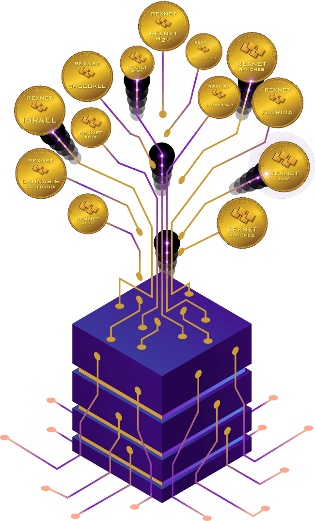 Rexnet creates custom tokens for: